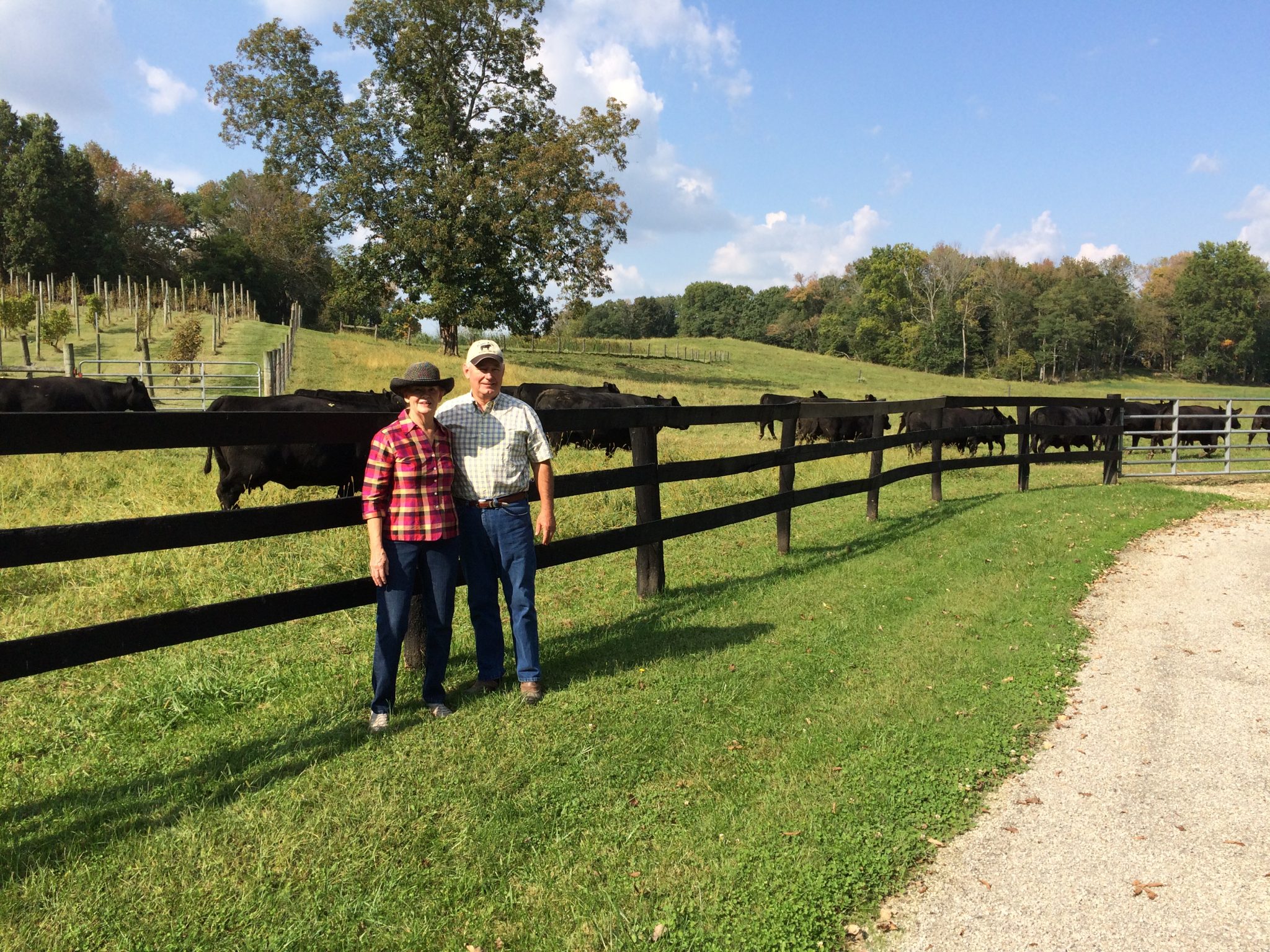 Cardinal Easements – Cardinal Land Conservancy