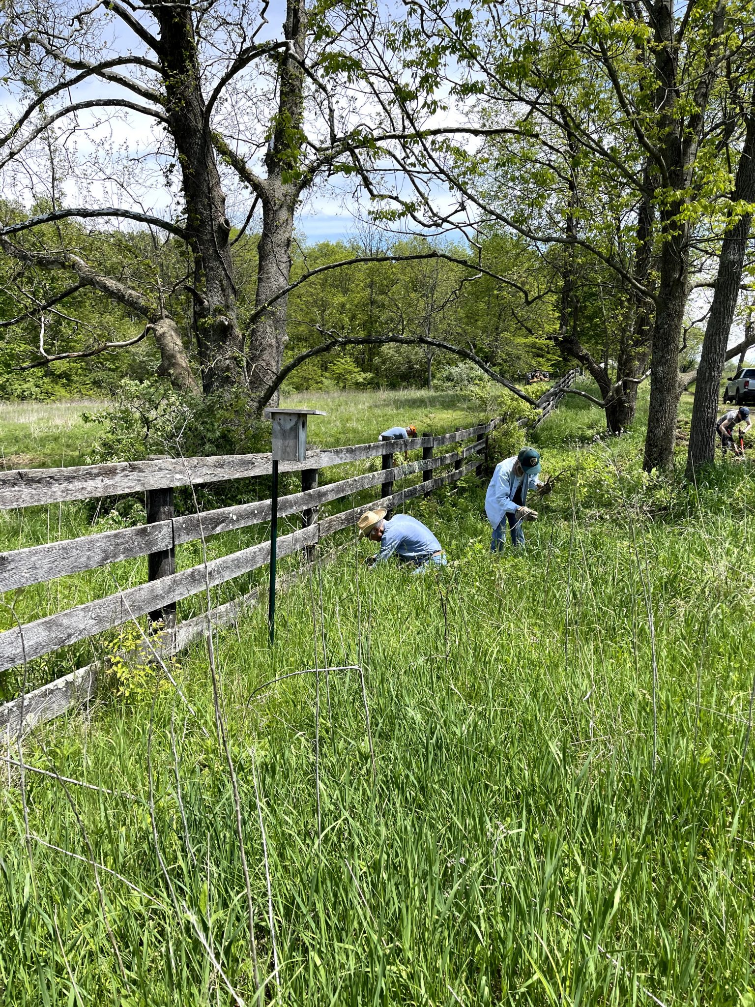 Support Membership – Cardinal Land Conservancy