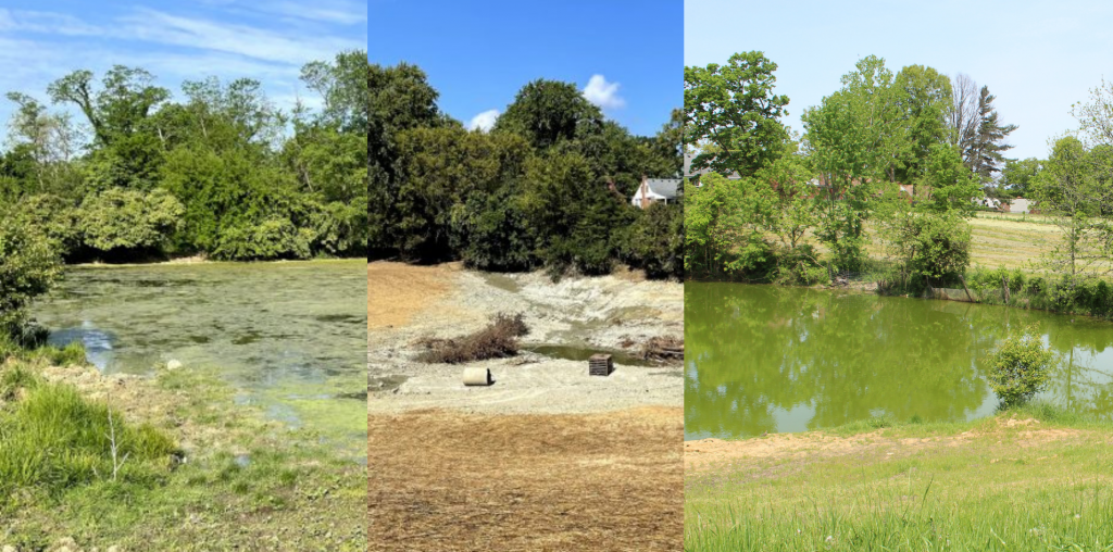 Cardinal Land Conservancy – One strong regional land trust working in ...